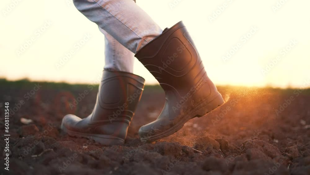 Agriculture. Farmer in rubber boots walks across a black field. Farm ...