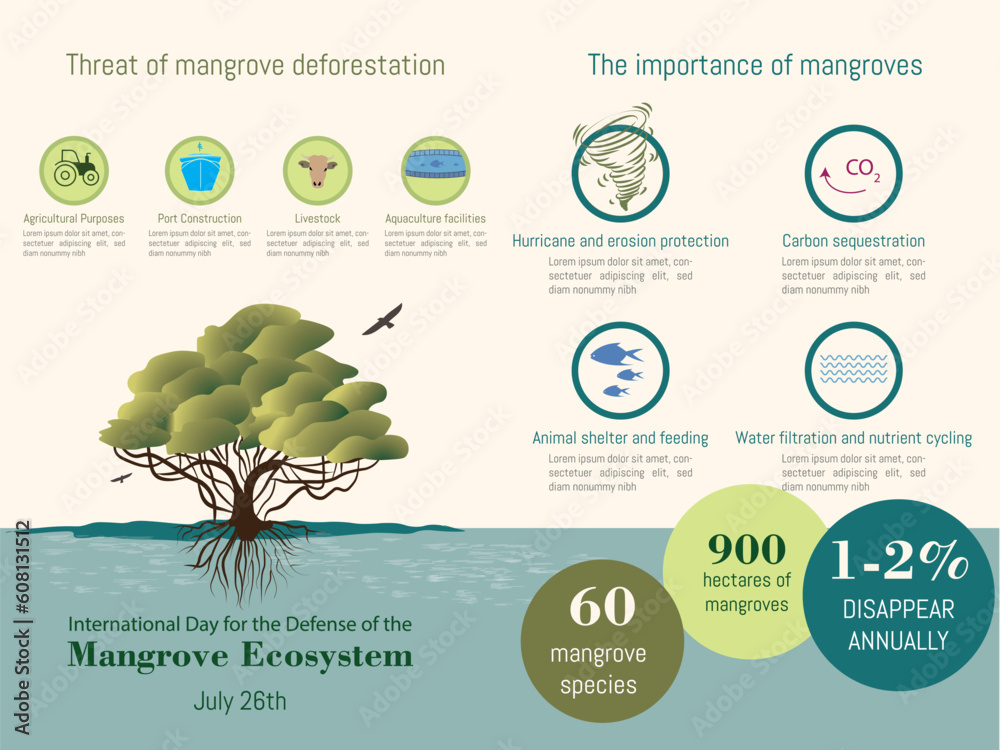 Poster Infographic about the mangrove ecosystem, what is its threat and ...