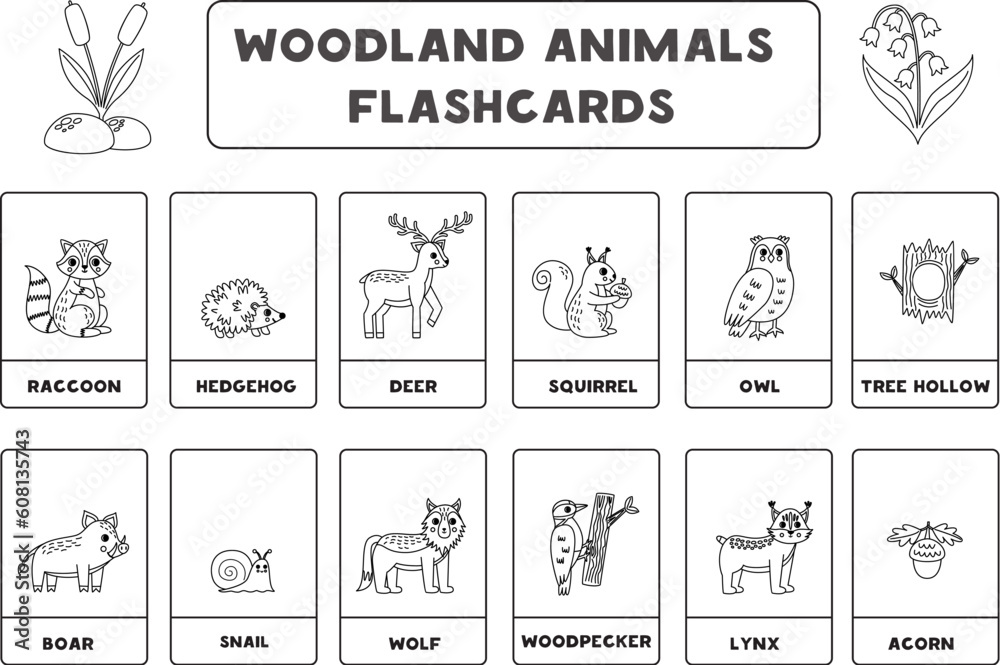 Cute cartoon woodland animals with names. Black and white flashcards ...