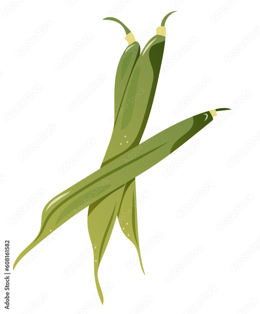 Vetor de Haricots verts clipart fond transparent, format vectoriel do ...