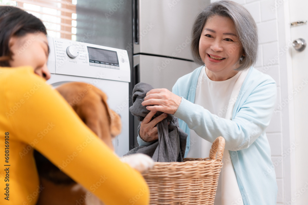 Beagle dog helping people in the house put clothes into the washing ...