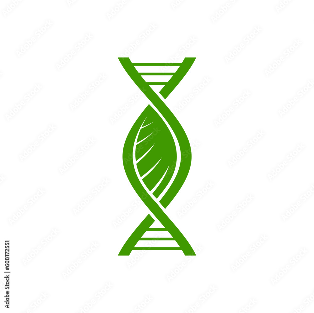Plant DNA icon, leaf and green gene helix strand vector symbol of ...