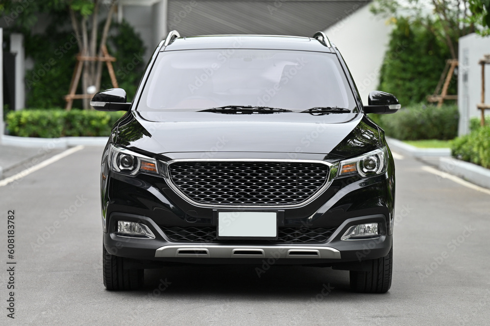 car, straight front view See the twin headlights and the hood of the ...