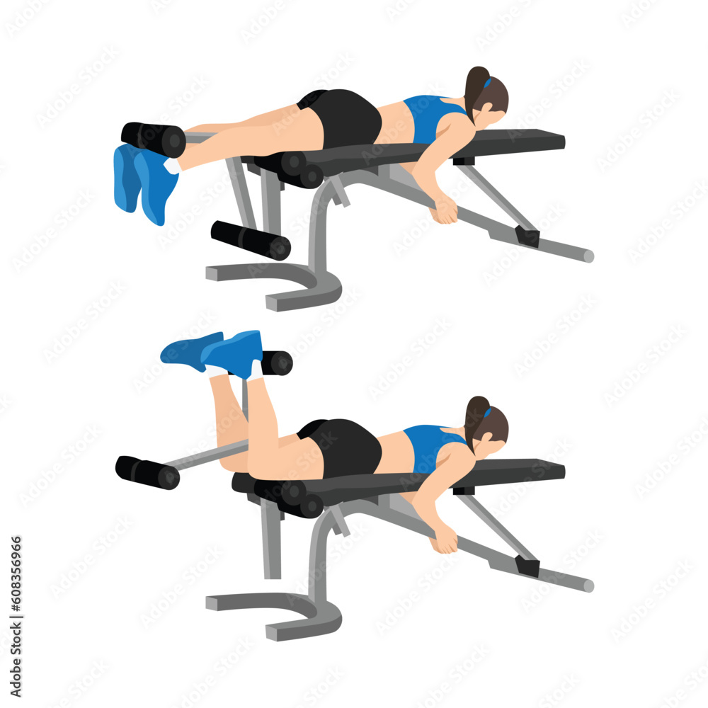 Woman doing Lying leg curls exercise. Flat vector illustration isolated ...