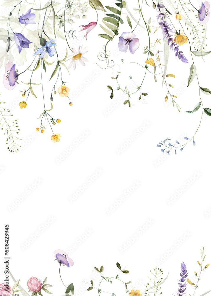 Wild field herbs flowers. Watercolor border frame - illustration with ...