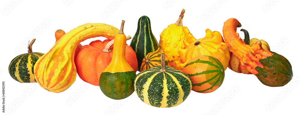 Foto de Différentes variétés de coloquintes do Stock | Adobe Stock