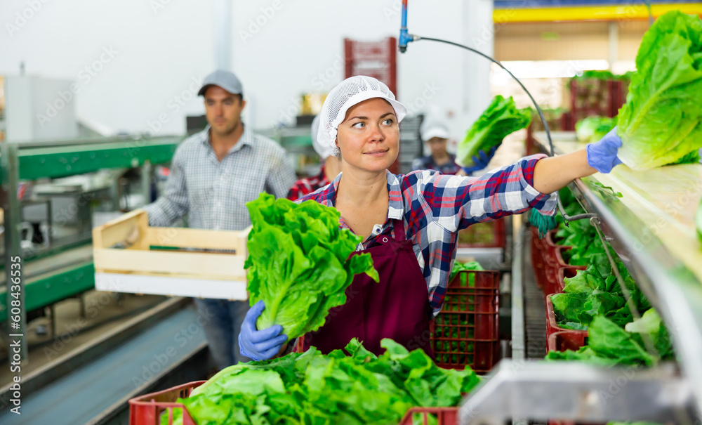 Smiling experienced female employee of agricultural sorting and ...