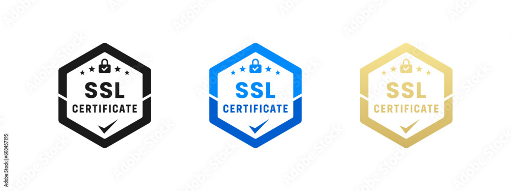Vetor de SSL certificate label or SSL certificate logo vector isolated ...