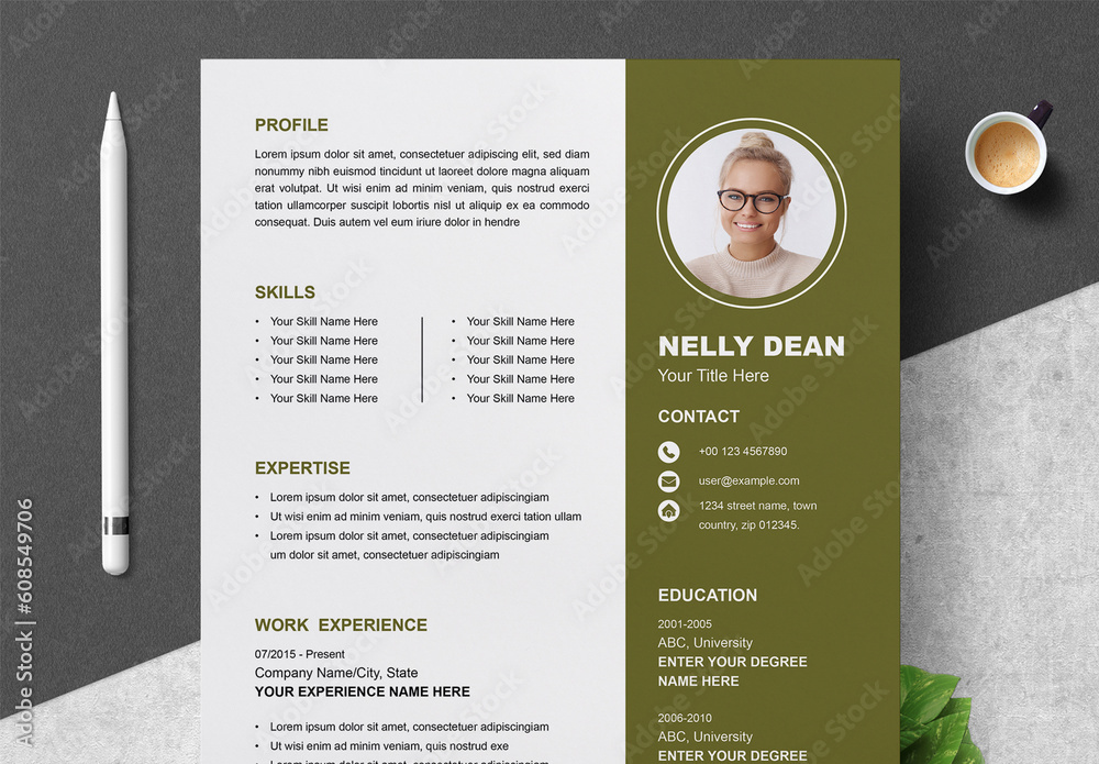 Web Developer Resume Design Layout Stock Template | Adobe Stock
