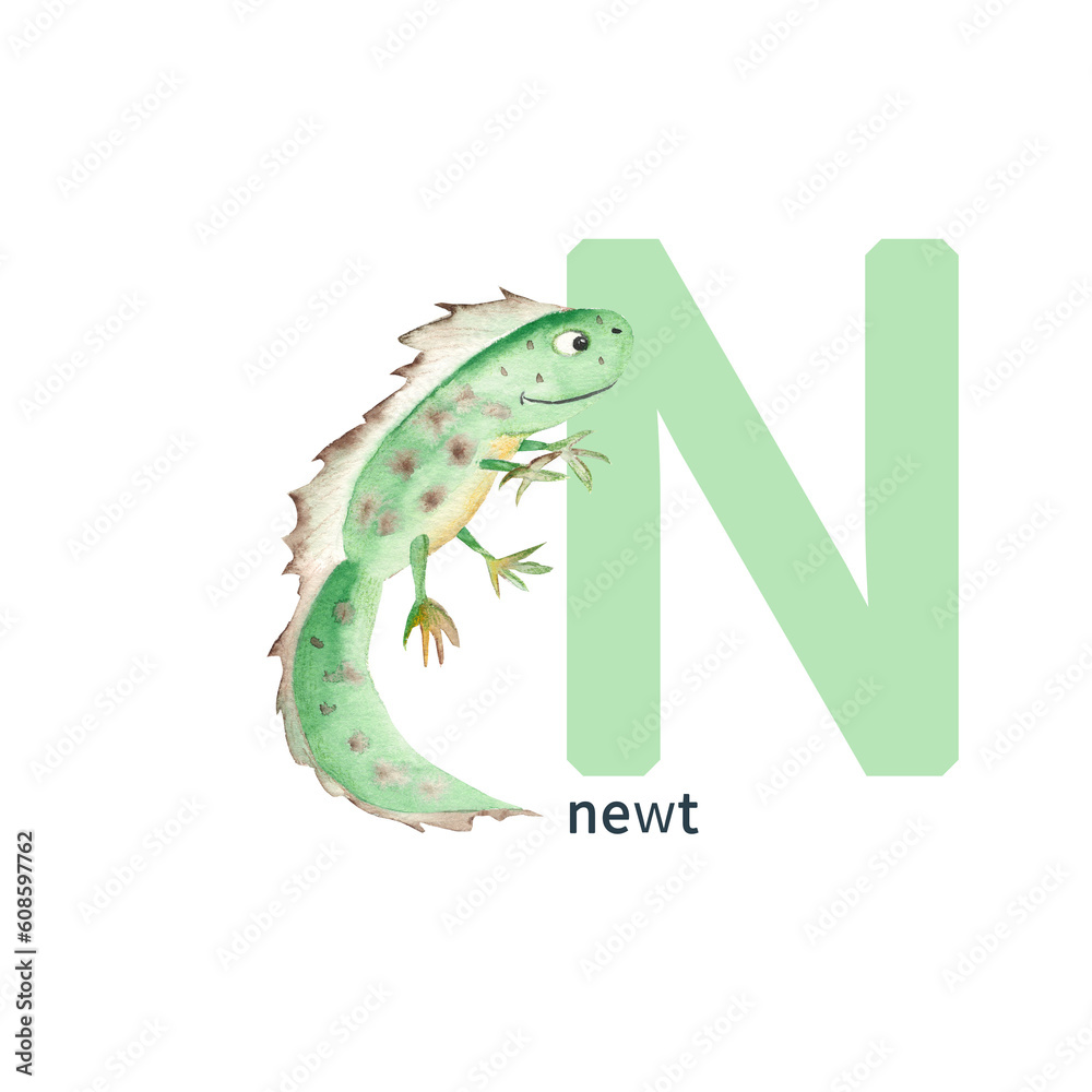 Letter N, newt, cute kids animal ABC alphabet. Watercolor illustration ...