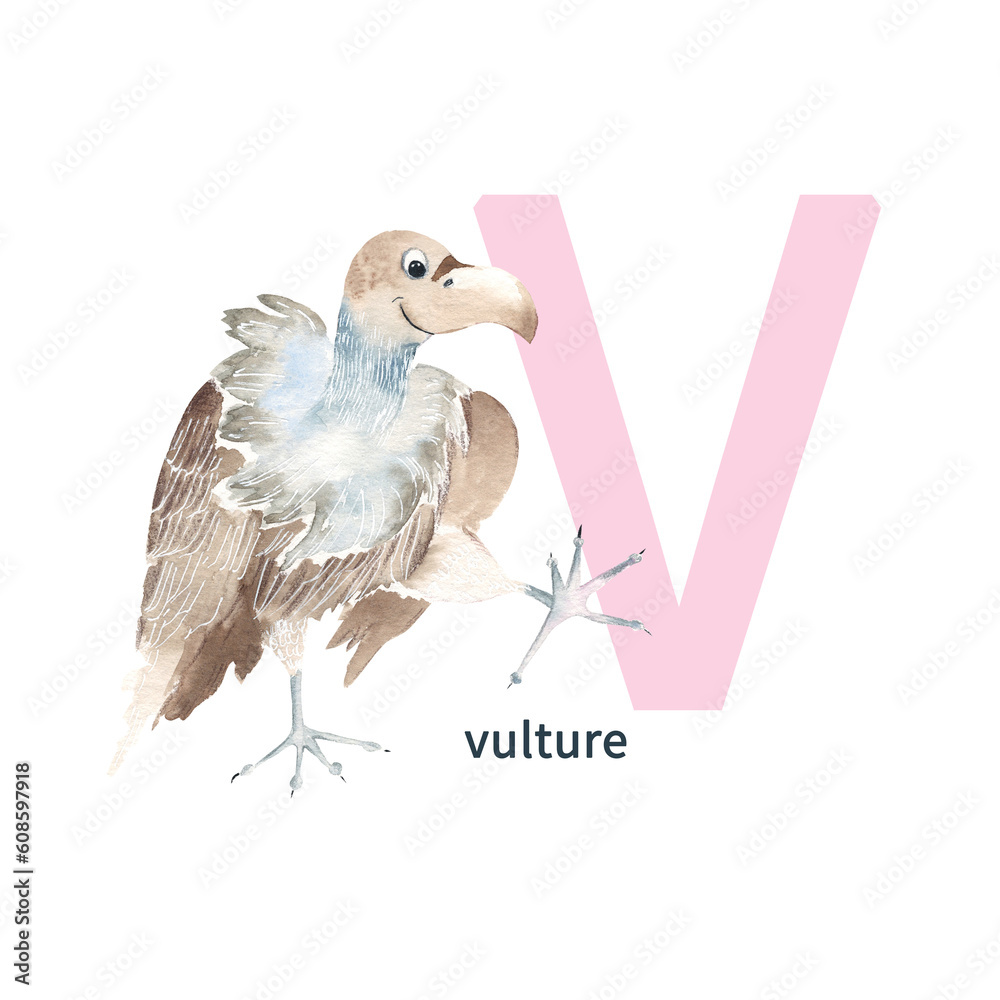 Letter V, vulture, cute kids animal ABC alphabet. Watercolor ...