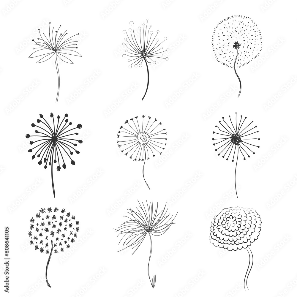 Set of abstract graphic doodle dandelions. Hand drawn fluffy dandelion ...