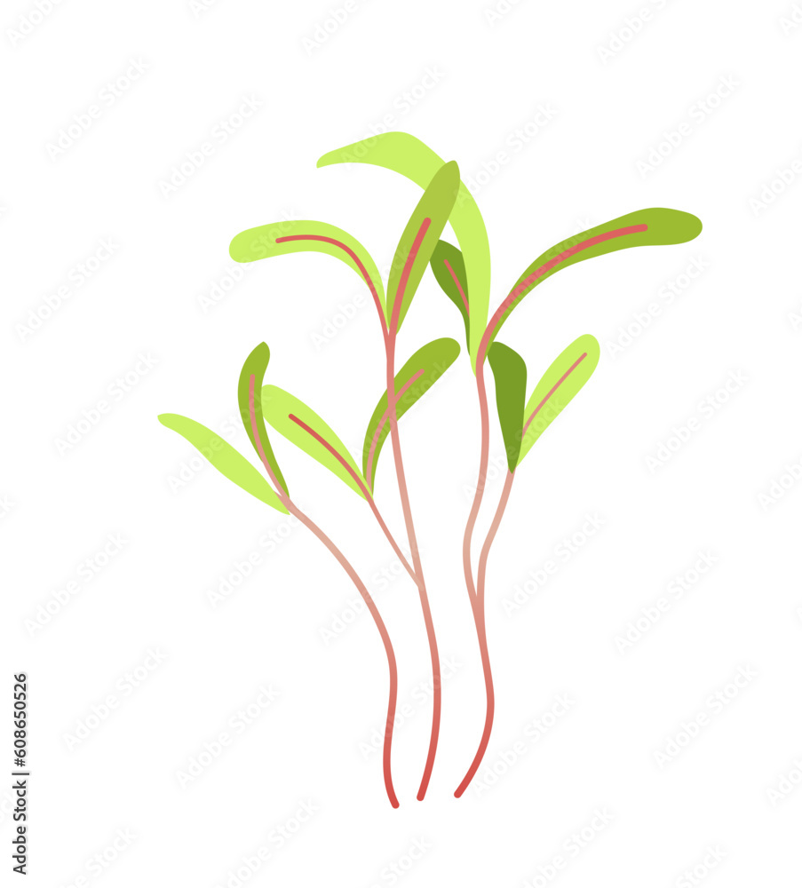 Green sprouts microgreen concept. Plants, nature and biology ...