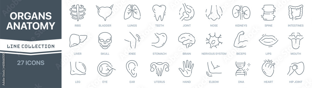 Organs and anatomy linear signed icon collection. Signed thin line ...