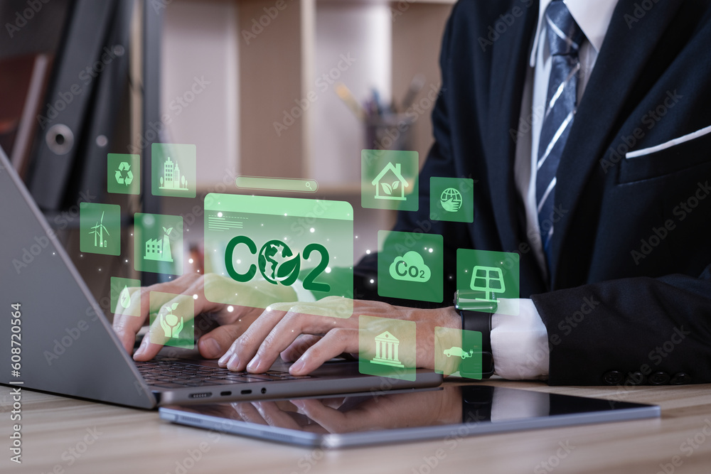 Sustainable development and green business based on renewable energy ...