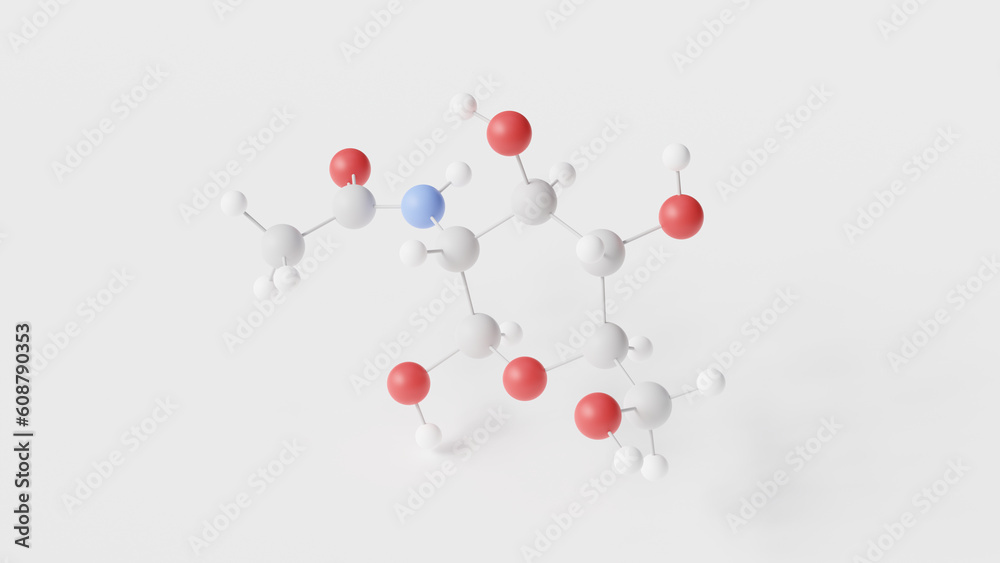 n-acetylglucosamine molecule 3d, molecular structure, ball and stick ...