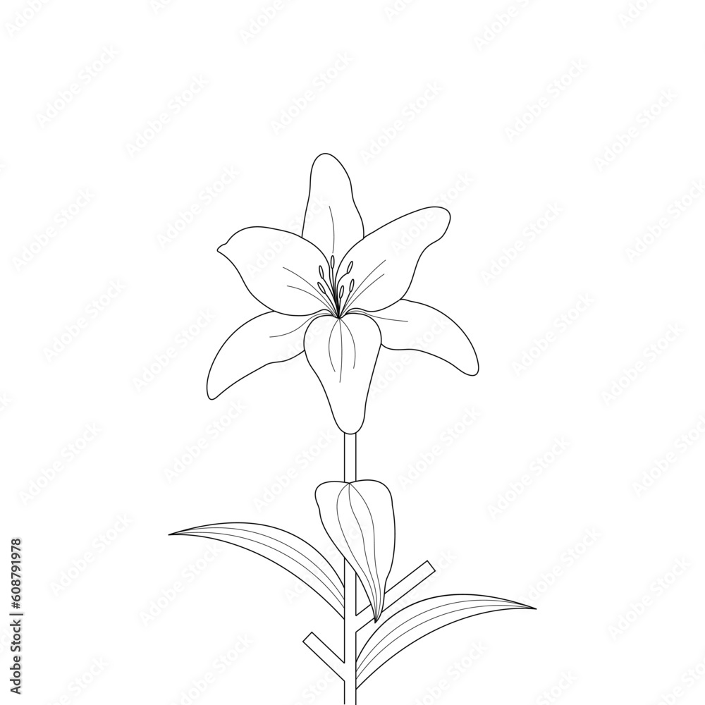 Lily Flower Coloring Page For Kindergarten Stock Vector | Adobe Stock