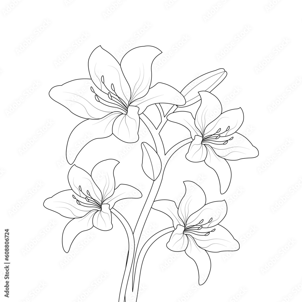 Lily Flower Coloring page Hand Drawn illustration With Line Art Stock ...