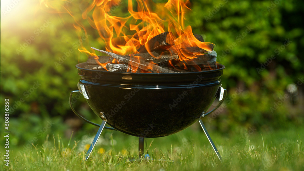 Barbecue Grill with Fire on Open Air. Fire flame Stock Photo | Adobe Stock