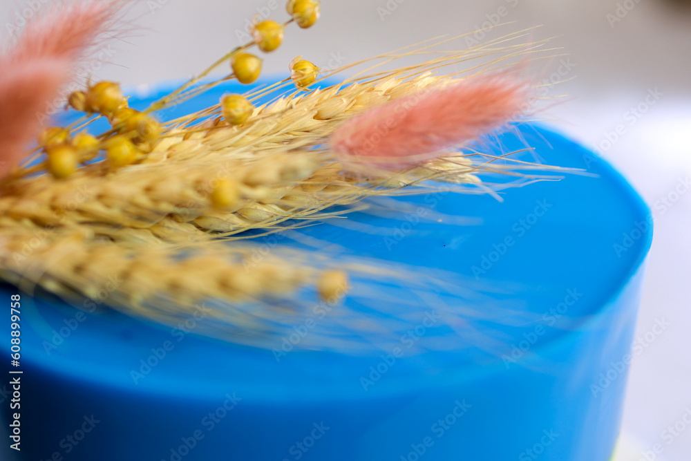 cake in form of Ukrainian flag yellow and blue layer process of making ...