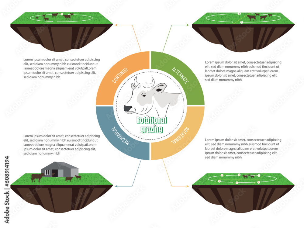 Vetor de Infographic on the different types of rotational grazing ...
