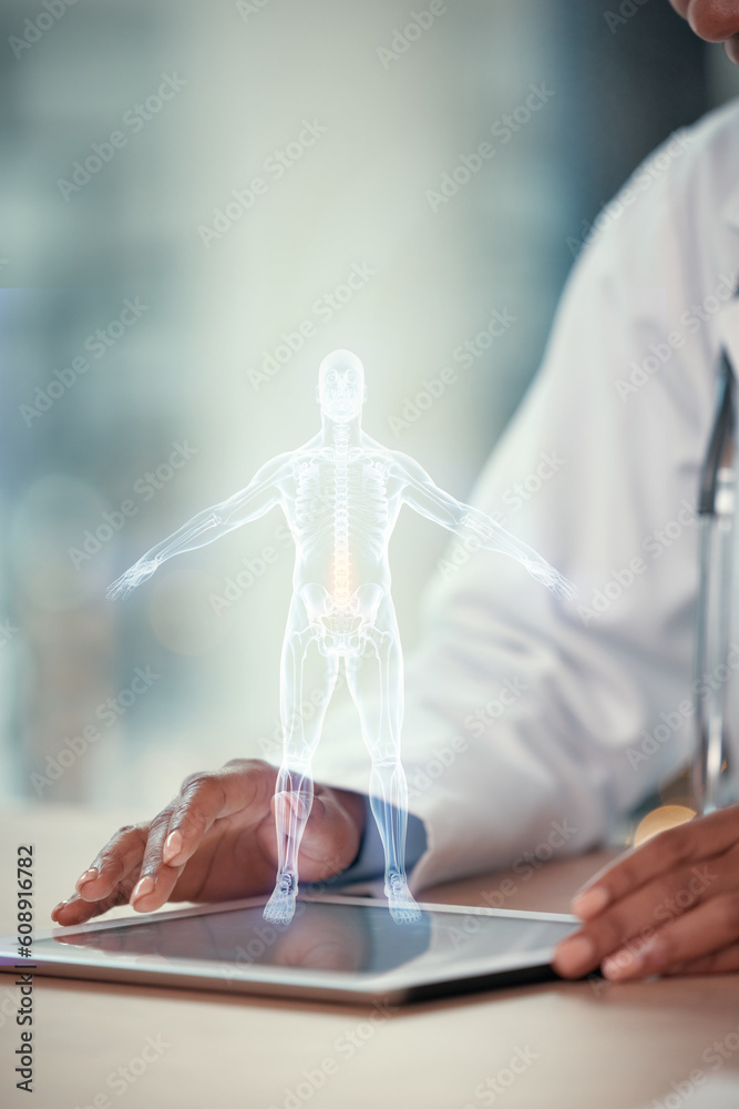 Tablet, digital hologram and doctor hands for anatomy, human body and ...