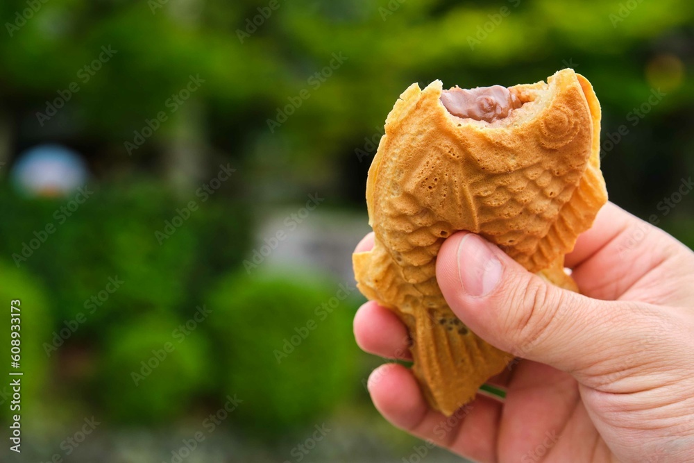 Hand holding a bitten Taiyaki, japanese fish-shaped waffle filled with ...