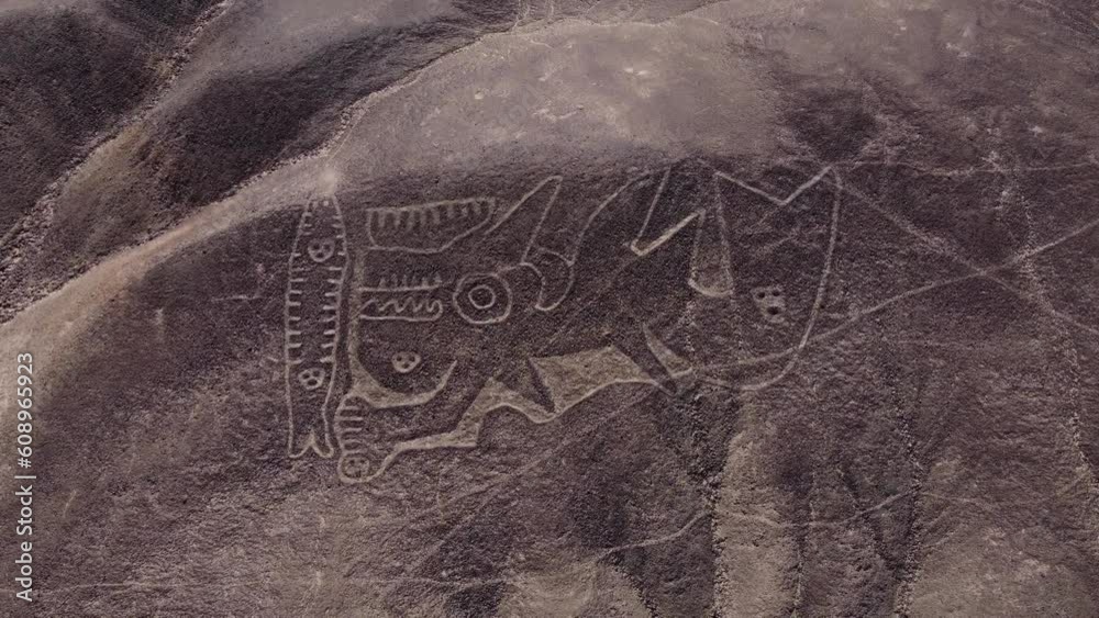 An ancient geoglyph depicting an orca or killer whale on a desert ...