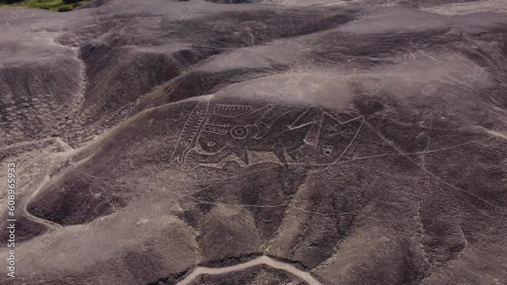 Video of one of the ancient geoglyphs of the Palpa Lines, depicting a ...