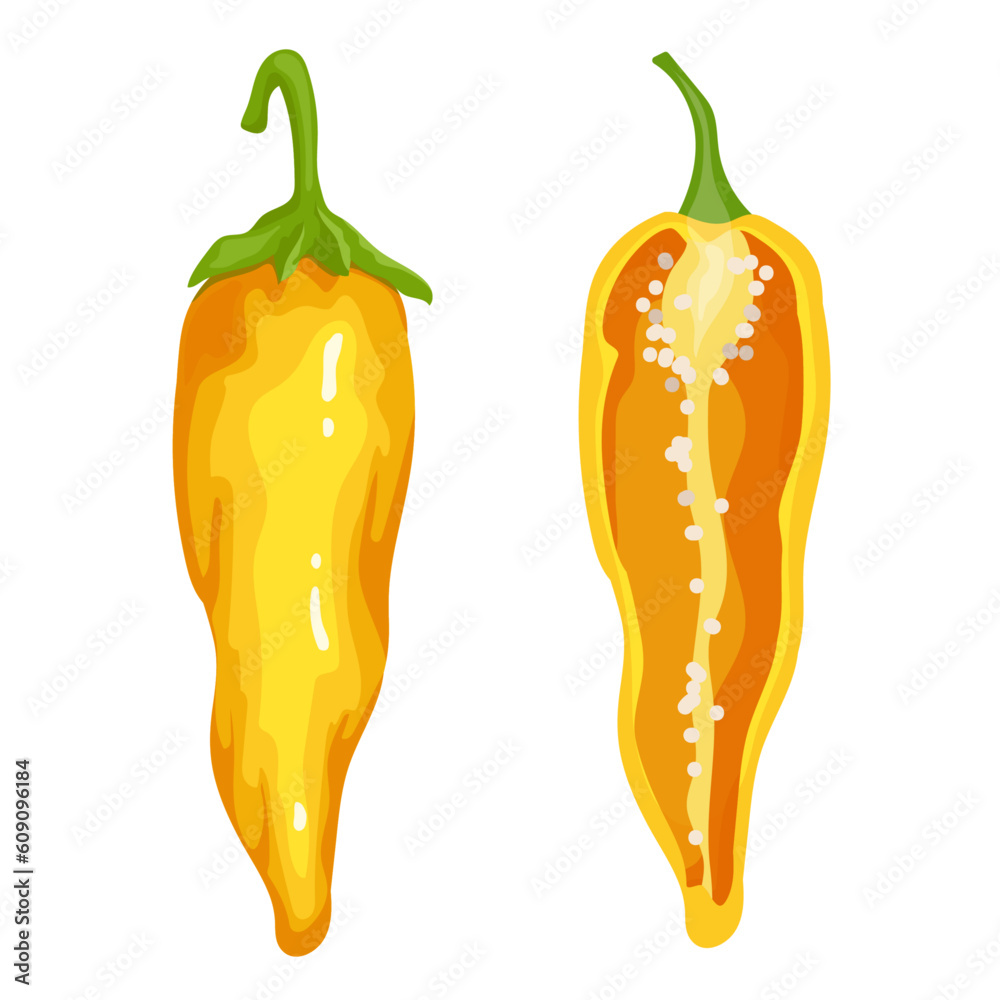 Yellow Hot Chili Pepper Vector Graphics Stock Vector Adobe Stock 1569