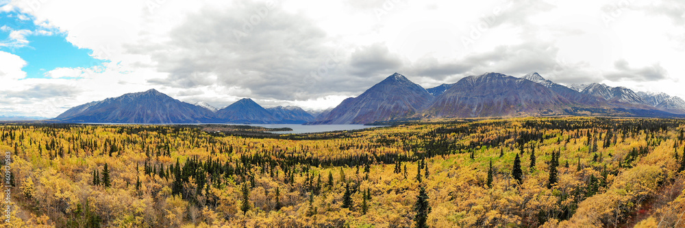 Fall panoramic landscape in northern Canada during autumn with bright ...