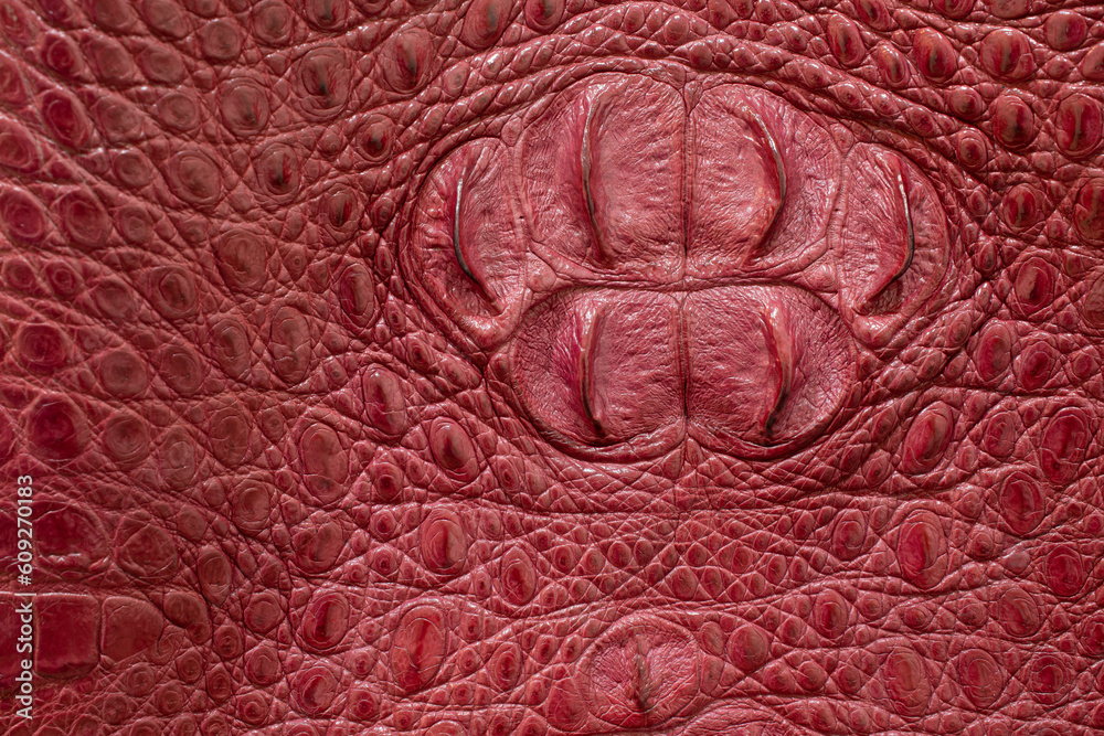 Genuine leather texture backgroundr close-up, embossed under the skin a ...