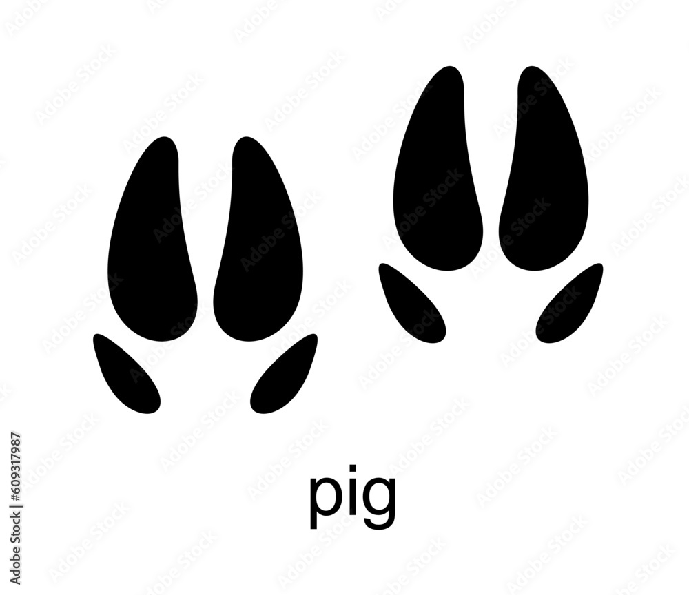 Pig Footprint. Pig track. Track of farm animals. Ungulate animal ...