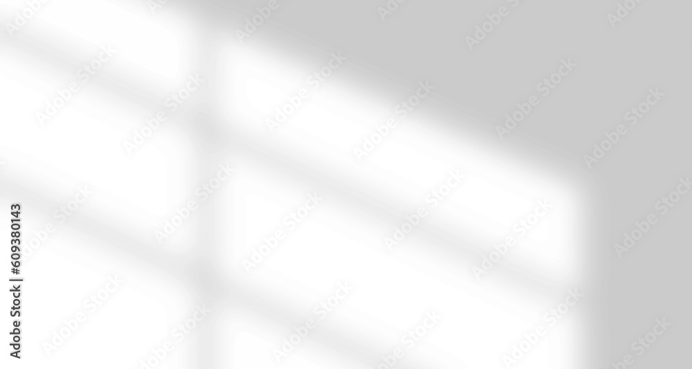 Realistic blurred natural light leaves, palm and window shadow overlay ...