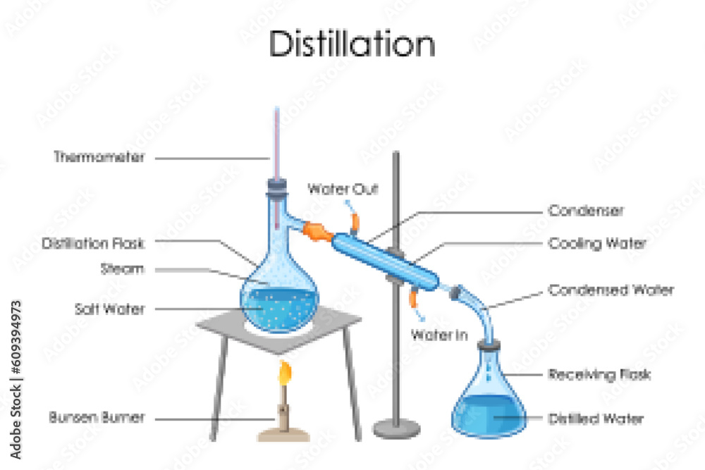 Vetor de Educational Diagram of Chart showing Physics and Chemistry ...