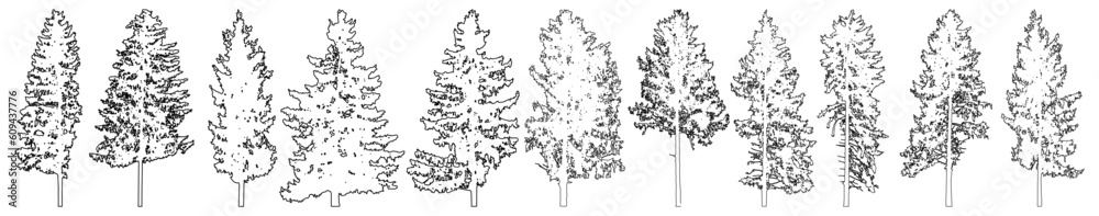 Set of fir trees for architecture and landscape design, line drawing ...