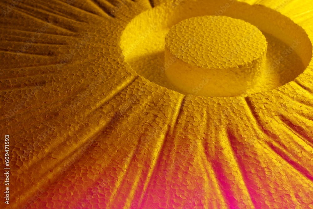 Esfera redonda formando un círculo con ramificaciones de líneas caladas ...