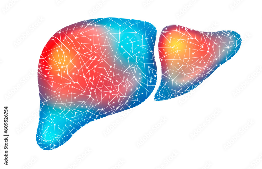 Liver 3d Illustration blue Illustration with red damage isolated on ...