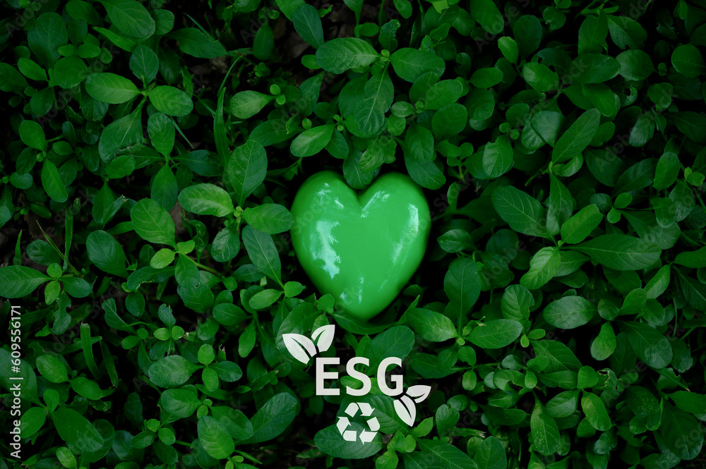Green heart ESG text over green grass Beautiful world concept with net ...