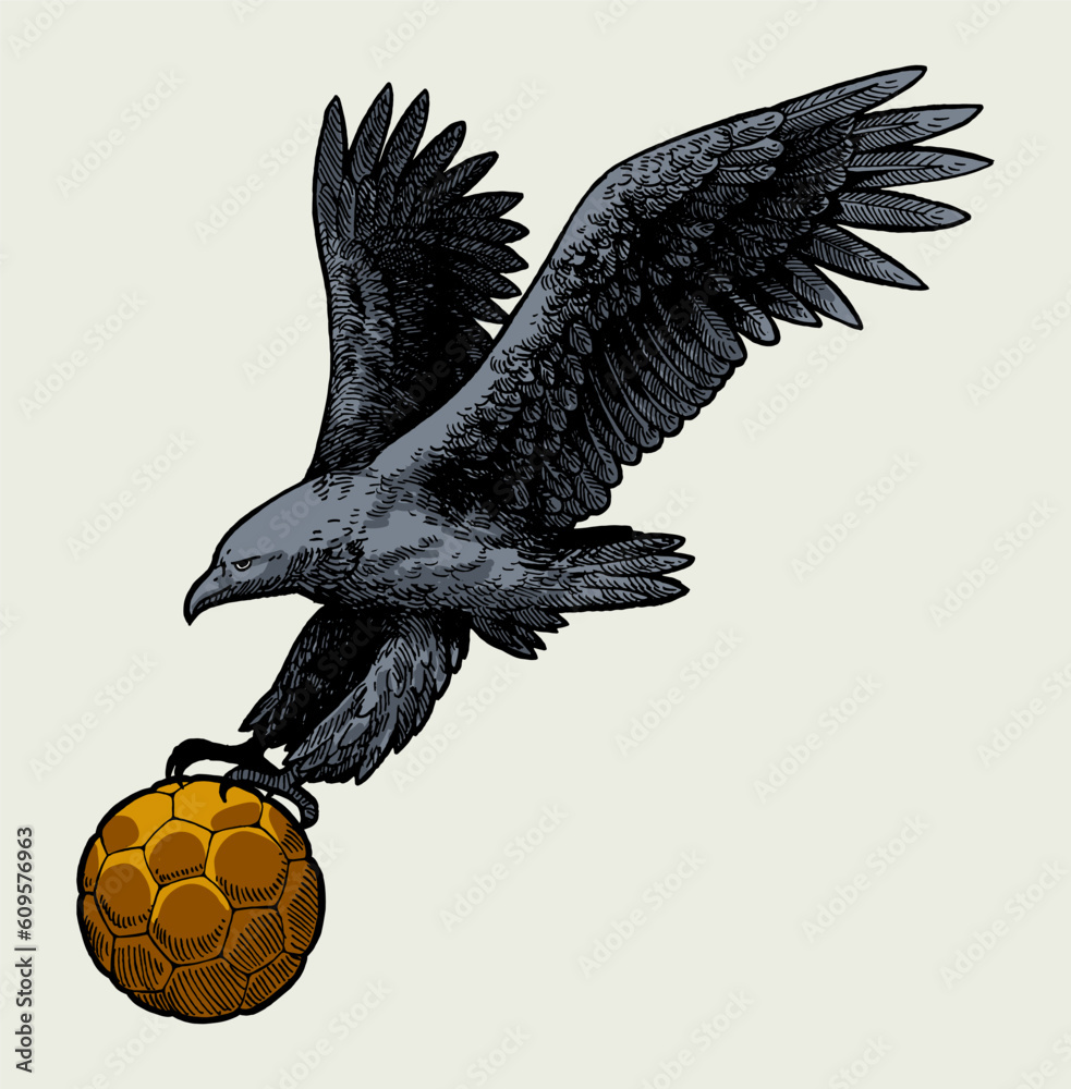 Football eagle. Eagle flying with a soccer ball. Realistic soccer ...