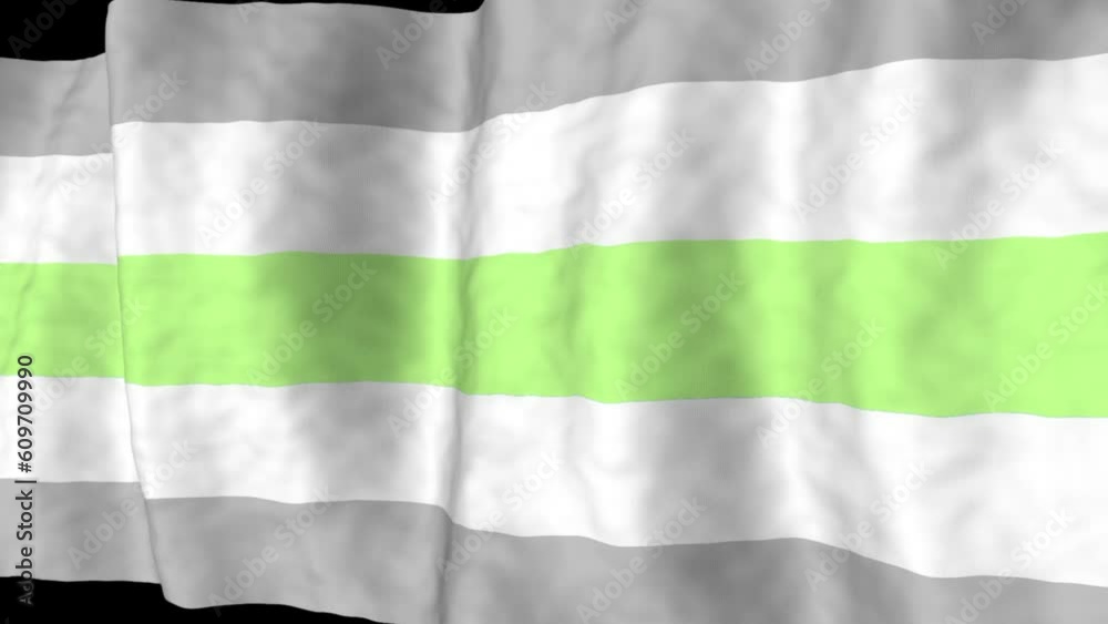 Agender pride flag at an angle Stock Video | Adobe Stock