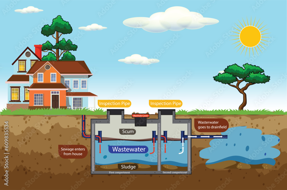 Vetor de Septic Tank diagram. Septic system and drain field scheme. An ...