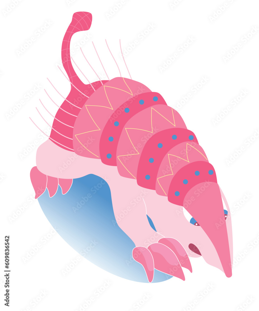 Pink Fairy Armadillo. Chlamyphorus truncatus. Flat vector Isolated ...