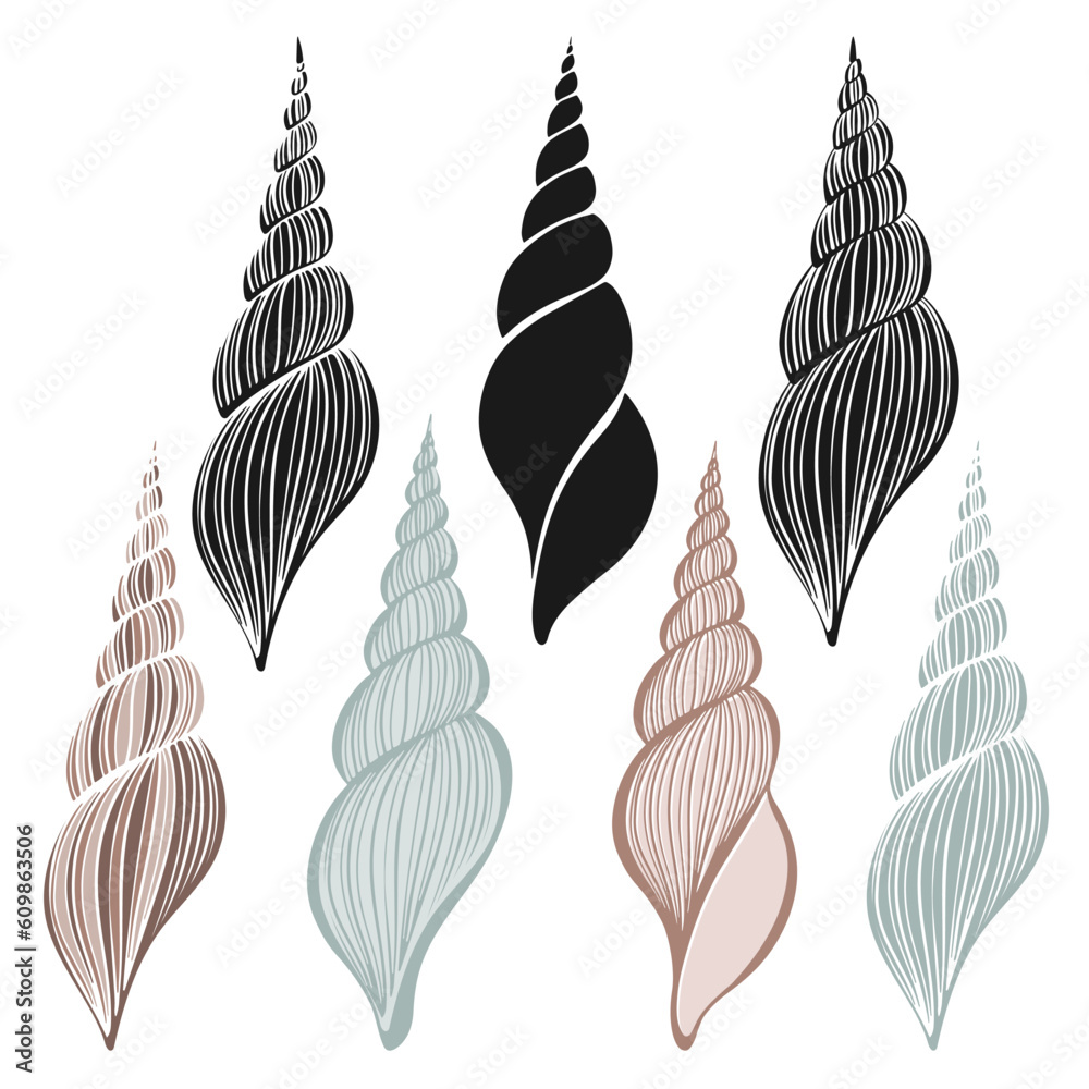 Shells. Hand drawn vector collection, 7 isolated elements on white ...