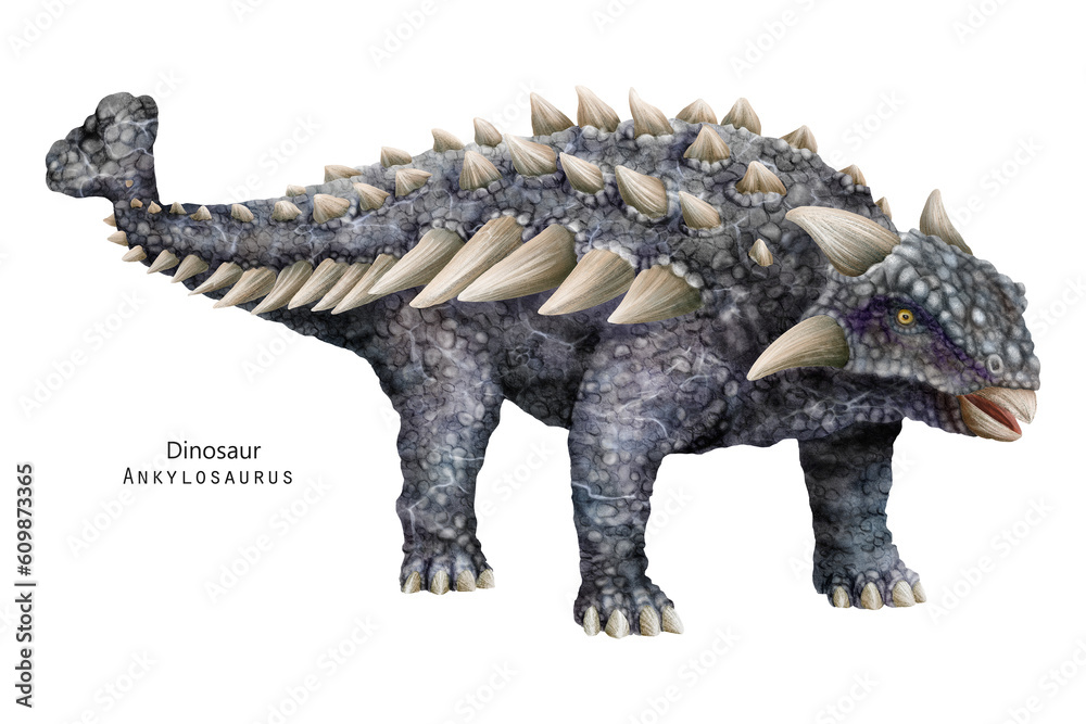 Ankylosaurus illustration. Dinosaur with spikes, horns. Grey dino Stock ...