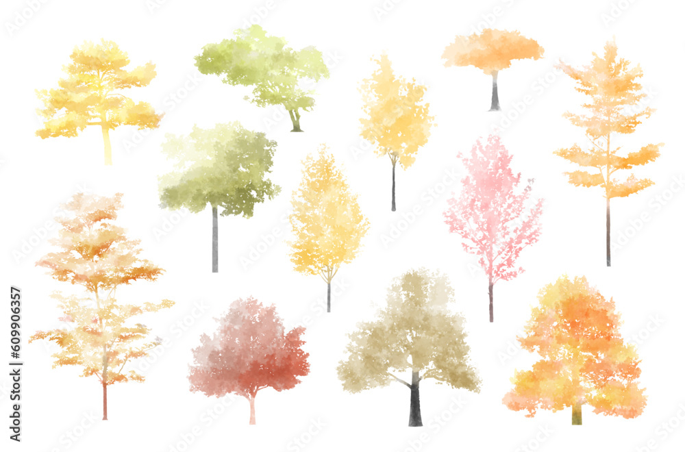 autumn, spring tree watercolor vector illustration, Minimal style tree ...