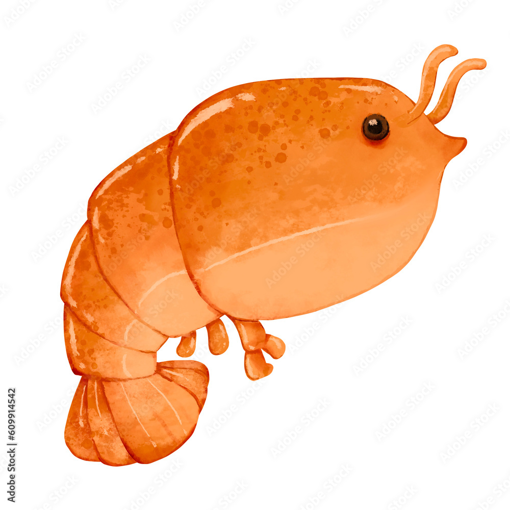 Sea animal cartoon character shrimp watercolor clipart graphic Stock ...