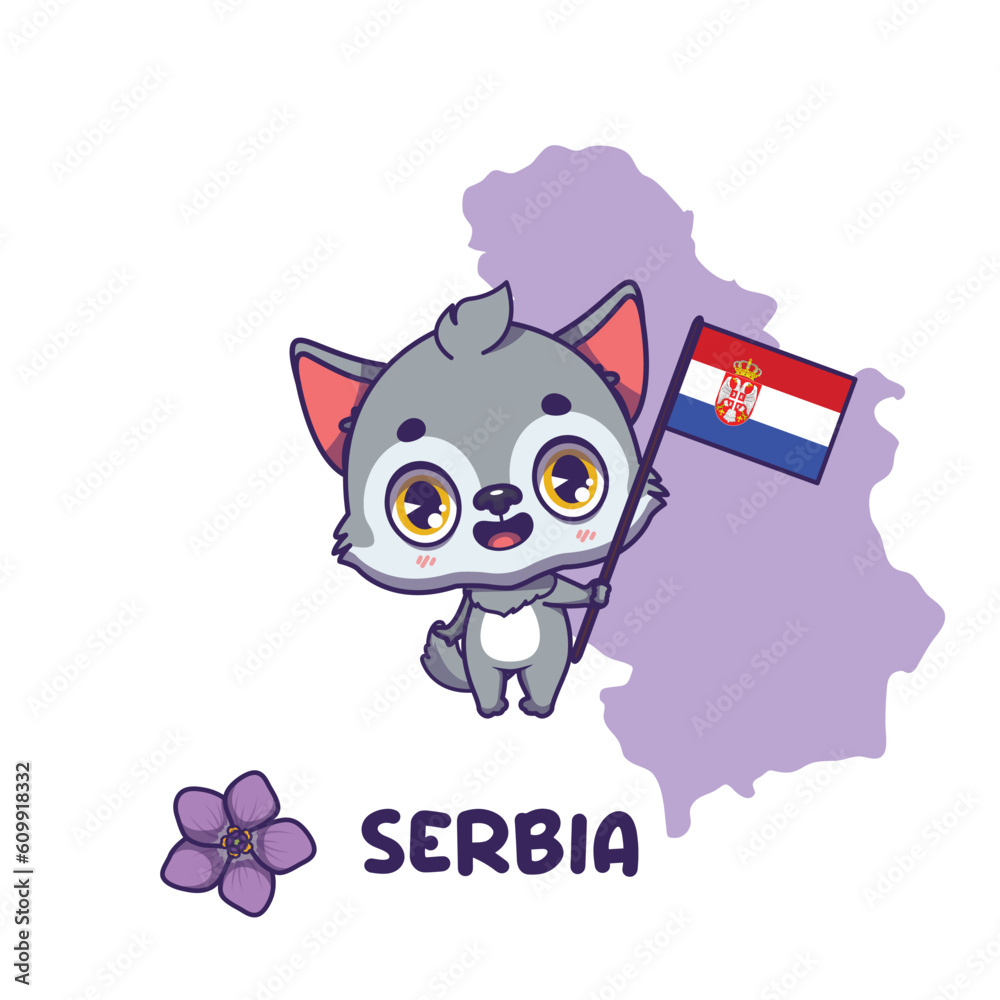 National animal grey wolf holding the flag of Serbia. National flower ...