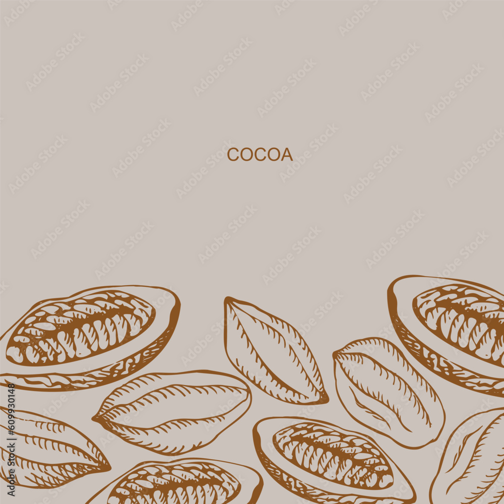 Cocoa set background template. Hand drawn sketch Cocoa beans, and Cocoa ...