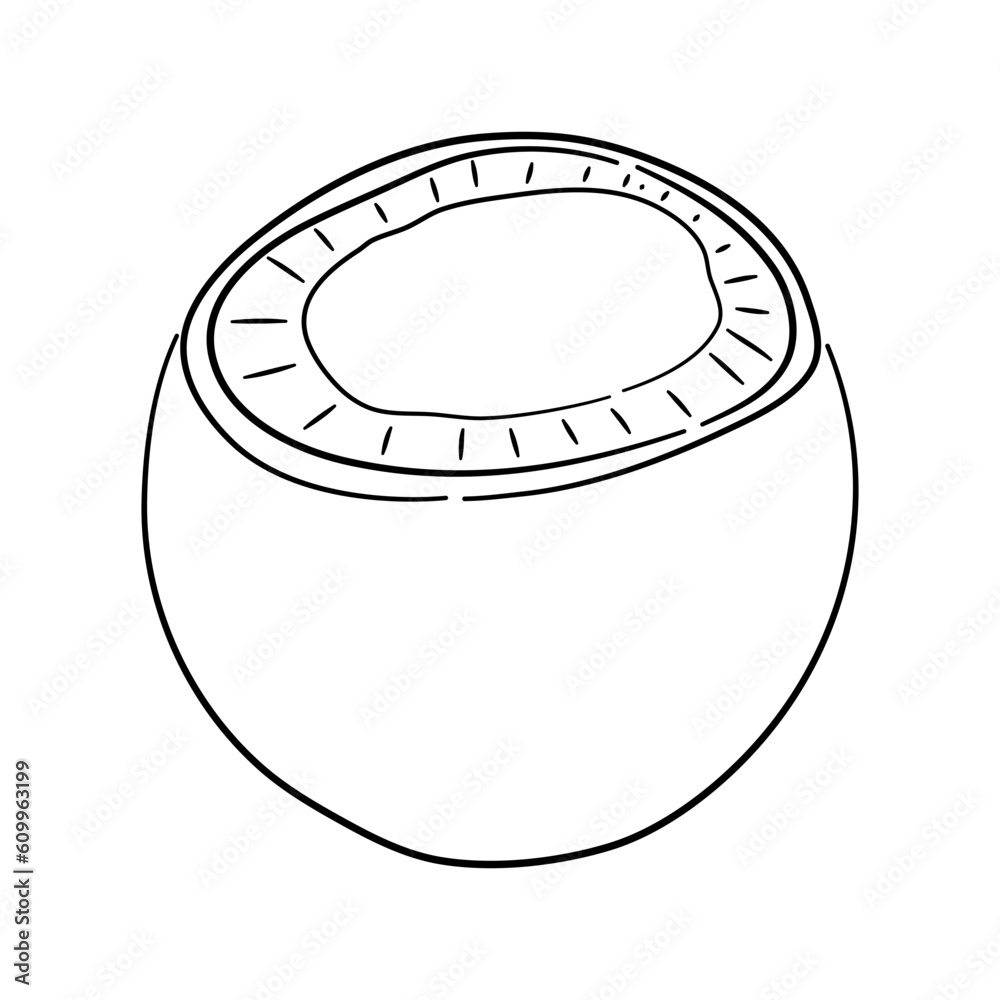 Coconut. Hand drawn outline doodle icon. Transparent isolated on white ...